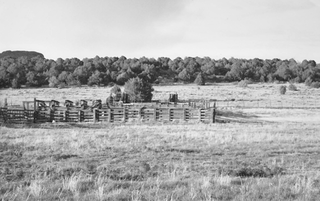 DohertyHistory_Corrals – La Mesa Ranch