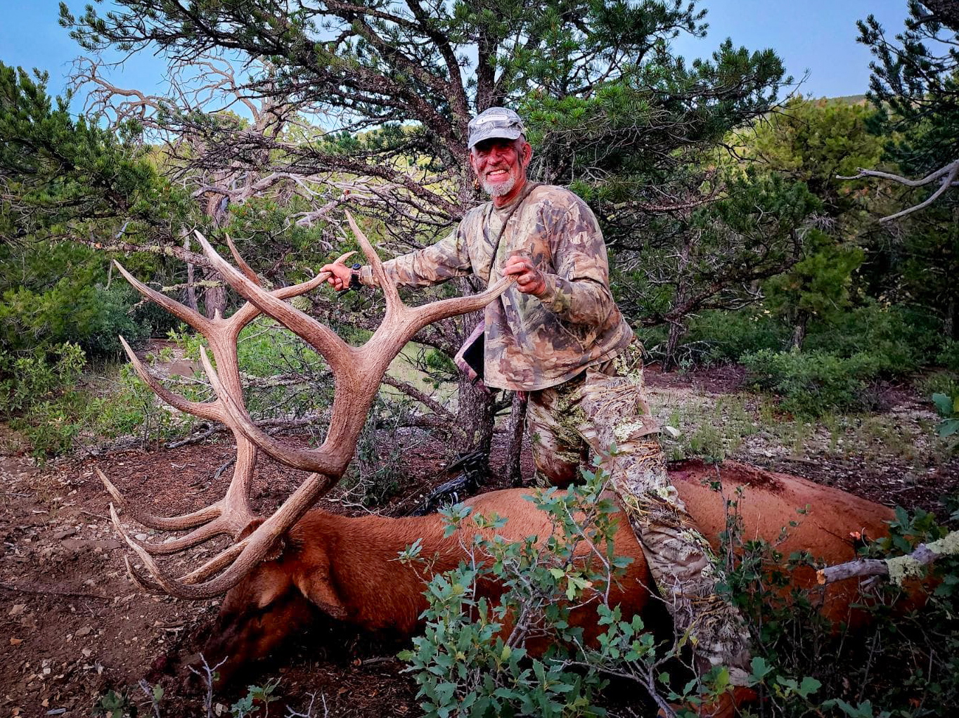 LaMesaRanch_Elk_2025_3 – La Mesa Ranch